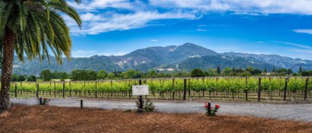 Morlet Family Vineyards