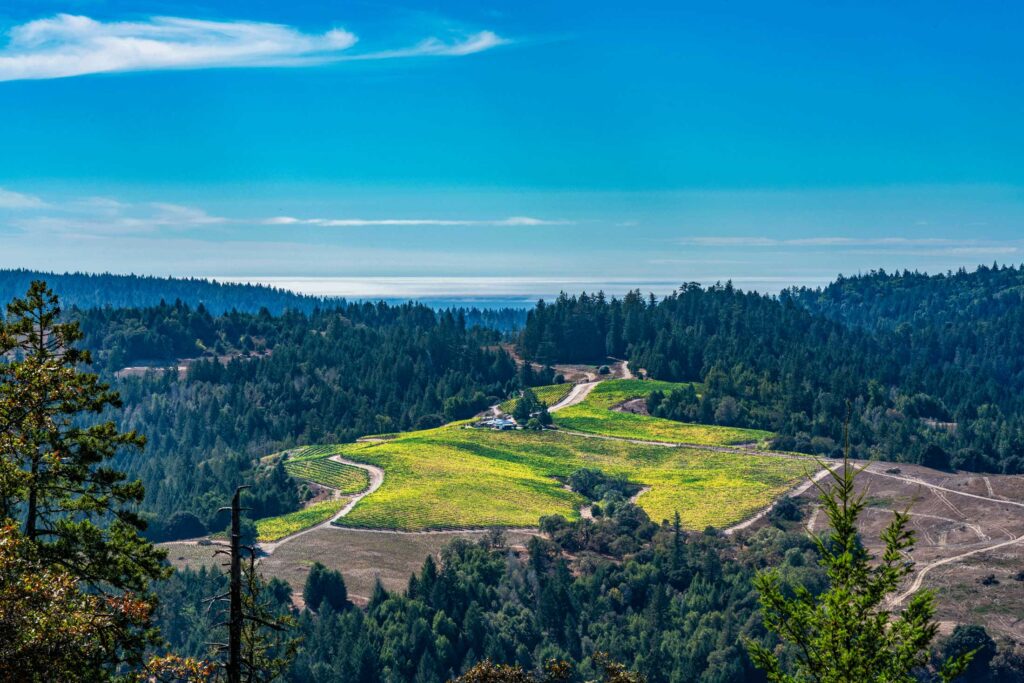 ‘Côteaux Nobles’ - Morlet Family Vineyards