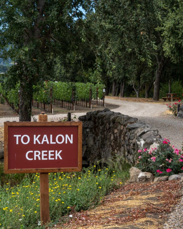 ‘Force Tranquille’ - Morlet Family Vineyards